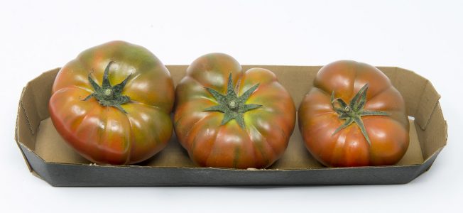 Raf Tomato - Hortícola Guadalfeo