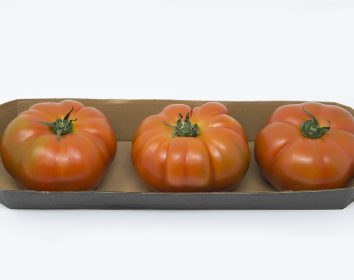 Raf Tomato - Hortícola Guadalfeo